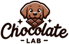Chocolate Lab
