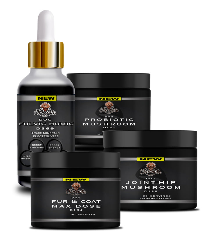 Micro Bully - Dog Breed Information, Puppies & More - Chocolate Lab